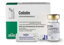Colistin - Tác dụng & Liều dùng thuốc an toàn