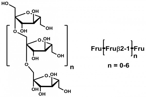 Những công dụng Fructo-Oligosaccharides trong điều trị bệnh