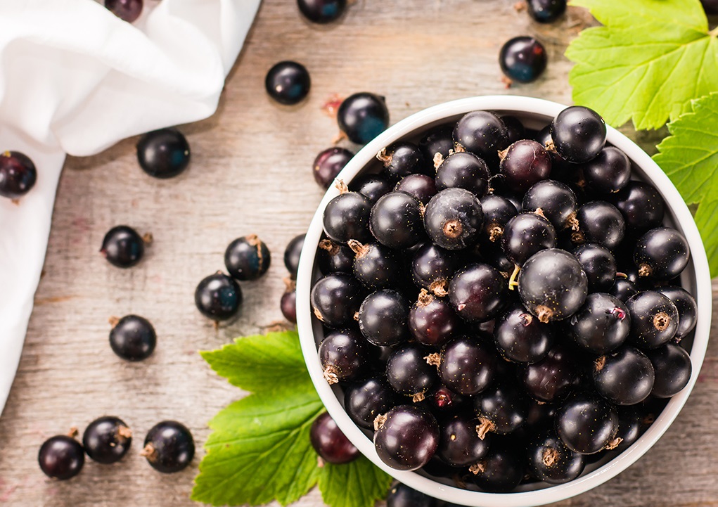 Quả Acai và những đặc tính dược học của quả Acai