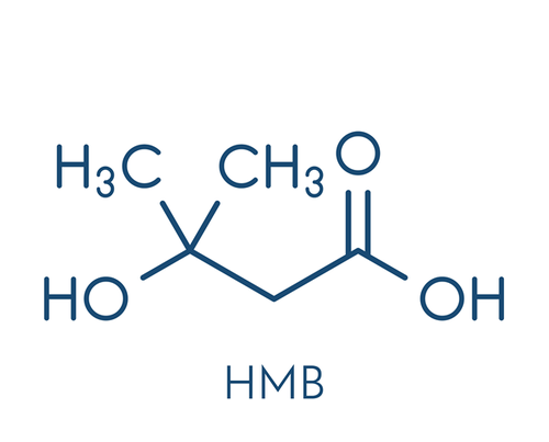 Bạn có biết Hydroxymethylbutyrate có công dụng là gì?