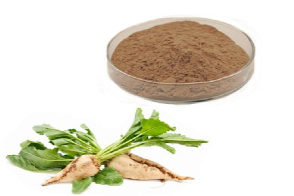 Công dụng & Cơ chế hoạt động của Inulin