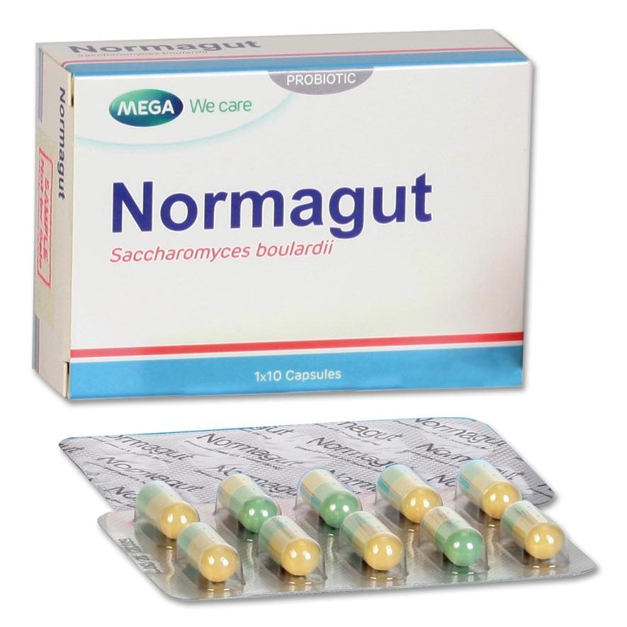 Men vi sinh Normagut có công dụng như thế nào