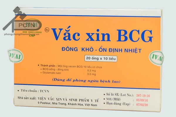 Liều dùng vắc-xin BCG chỉ định điều trị và phòng ngừa ra sao?